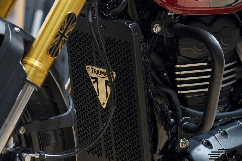 Crash bar for Triumph Scrambler 400 X - REM
